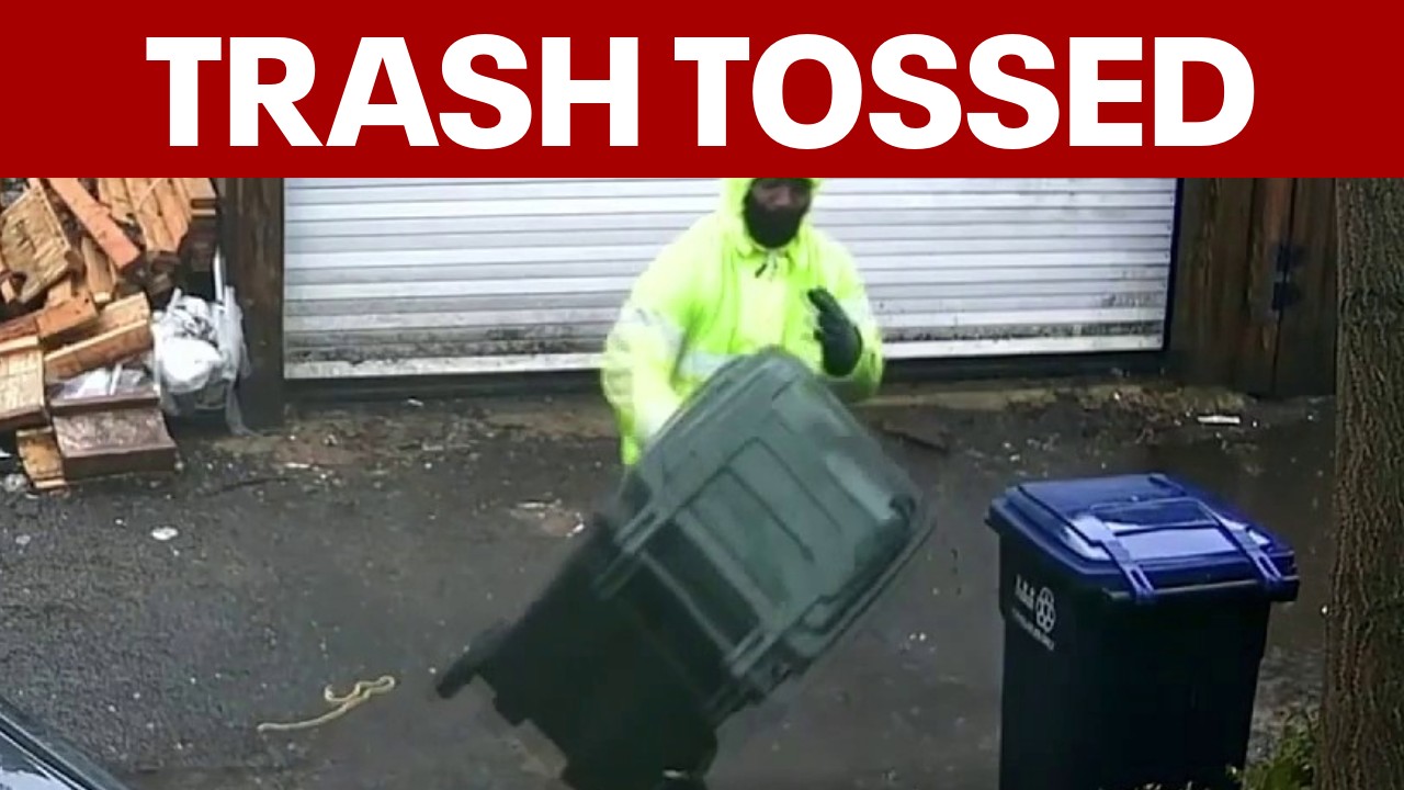 Video shows DC trash worker throwing bins