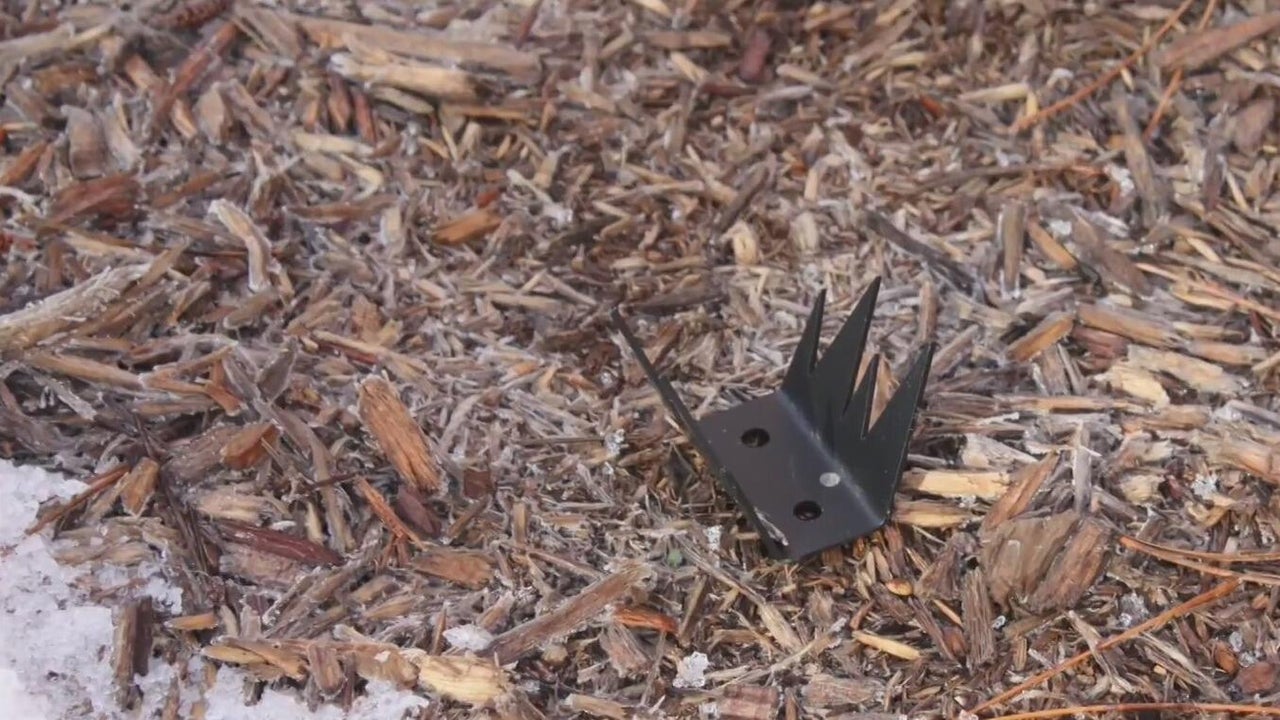 Lapeer police investigate spikes found at 2 playgrounds