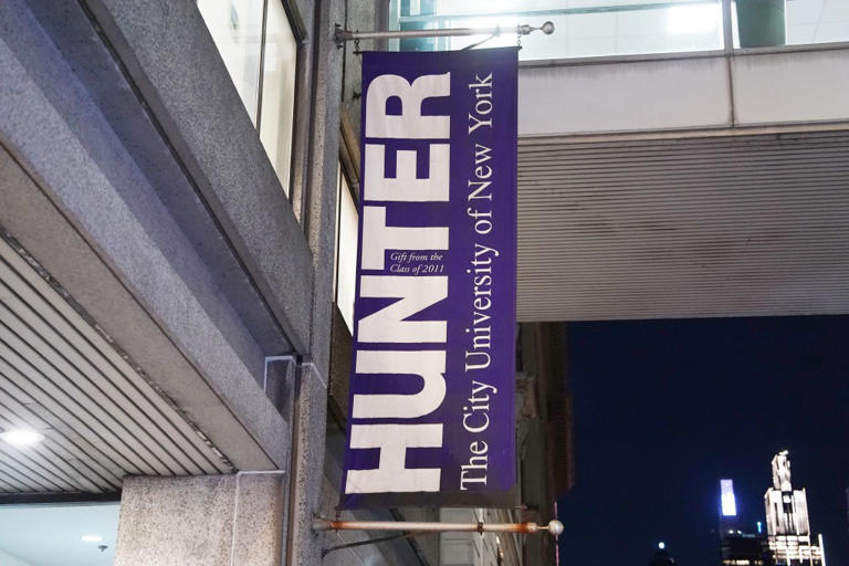 Hunter College reviewing tenured professor Allyson Friedman after she ...