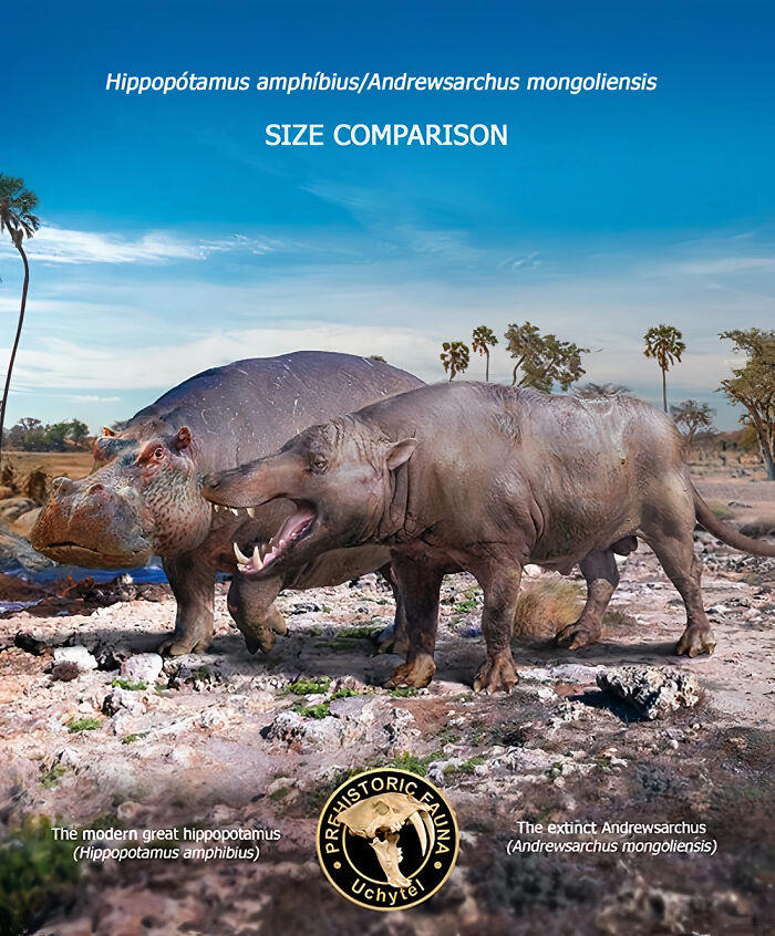 30 size comparisons of extinct species and their modern relatives by ...
