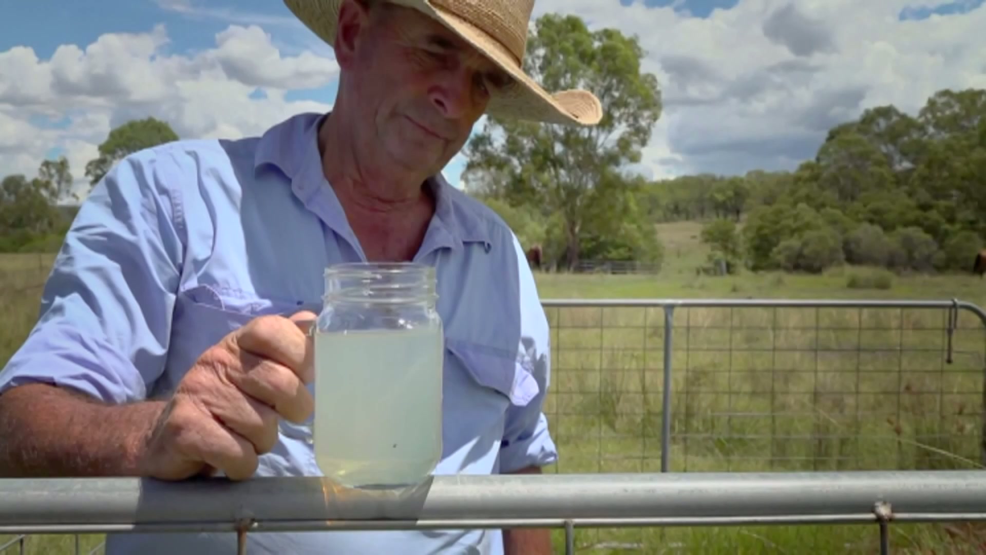 Queensland farmers ask for state government to intervene in Chinese ...