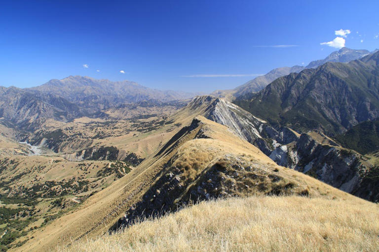 Delving into 'deep time': what NZ's ancient past reveals about its present