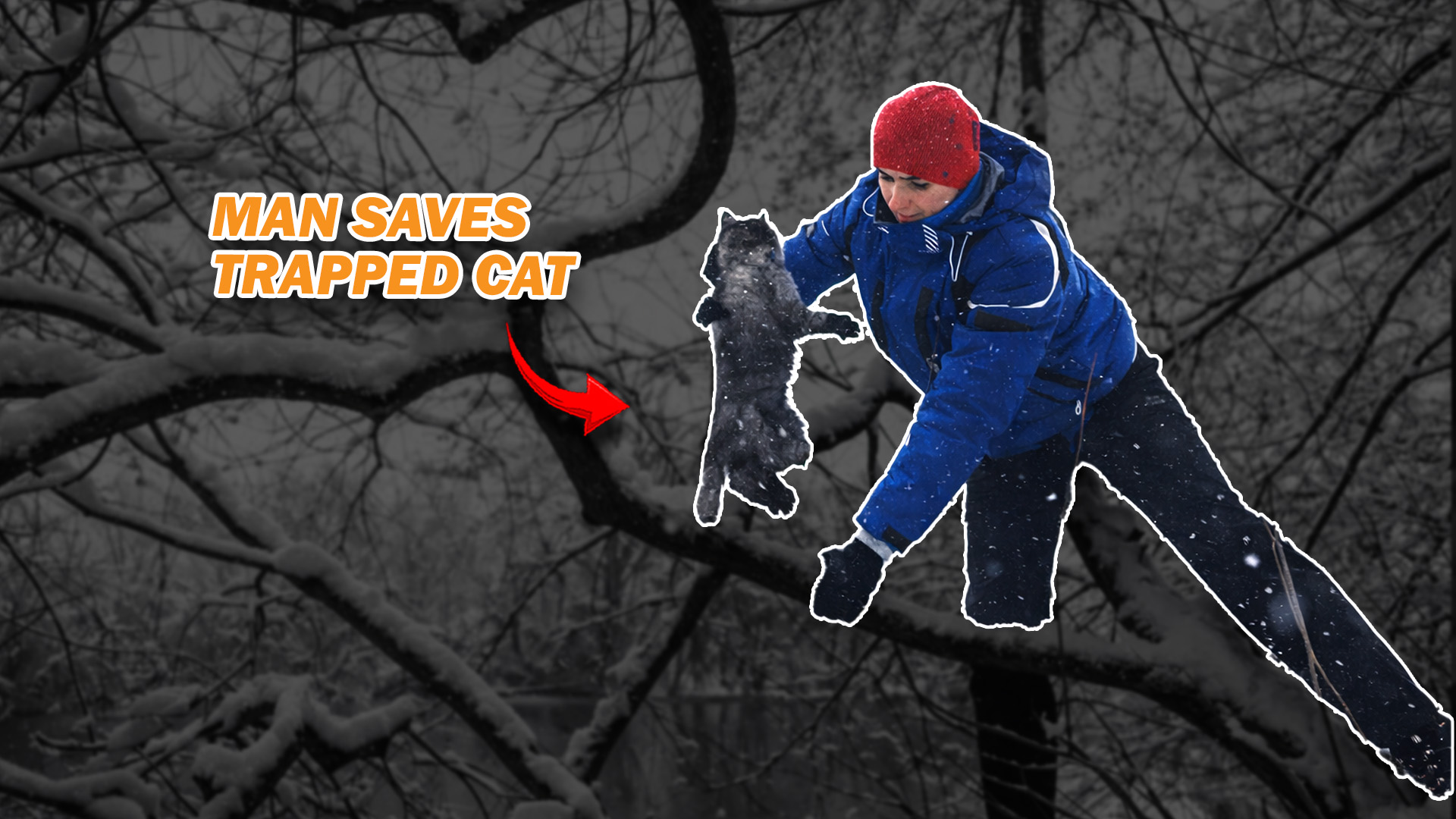 Man rescues cat trapped in a tree