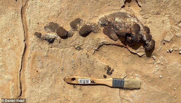 Mysterious 'dragon' species that lived 95 million years ago discovered ...