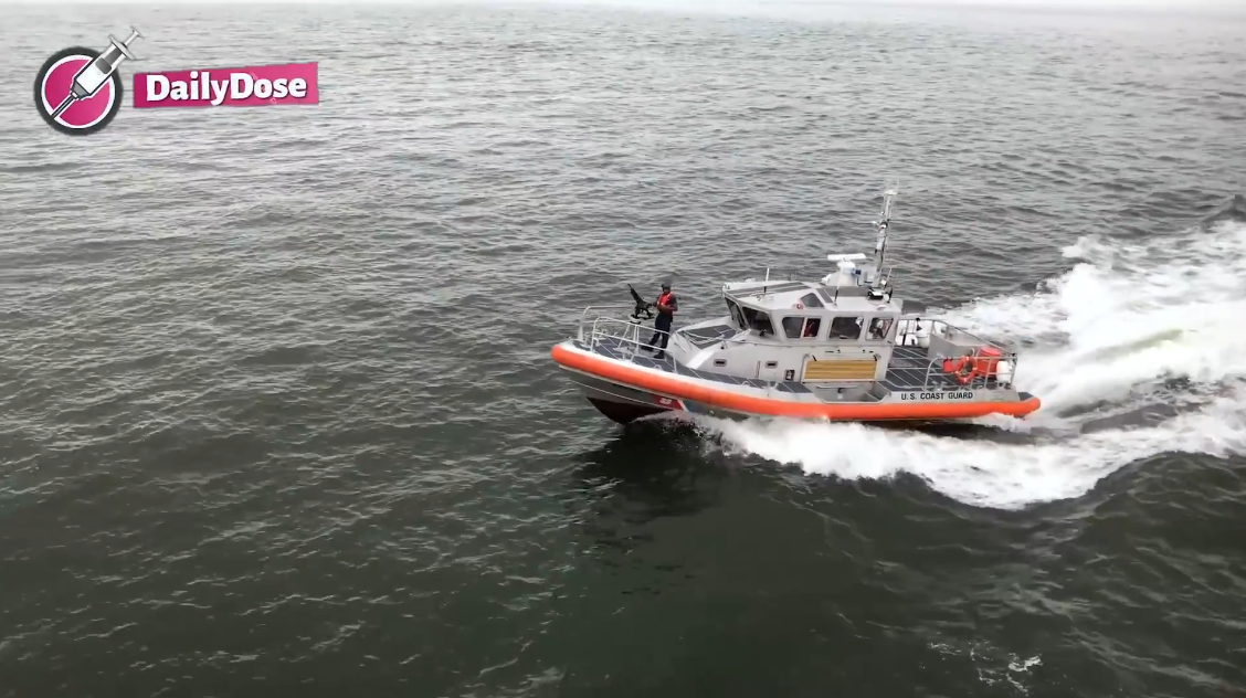 Navy spots massive object in the water seconds later, they jump overboard