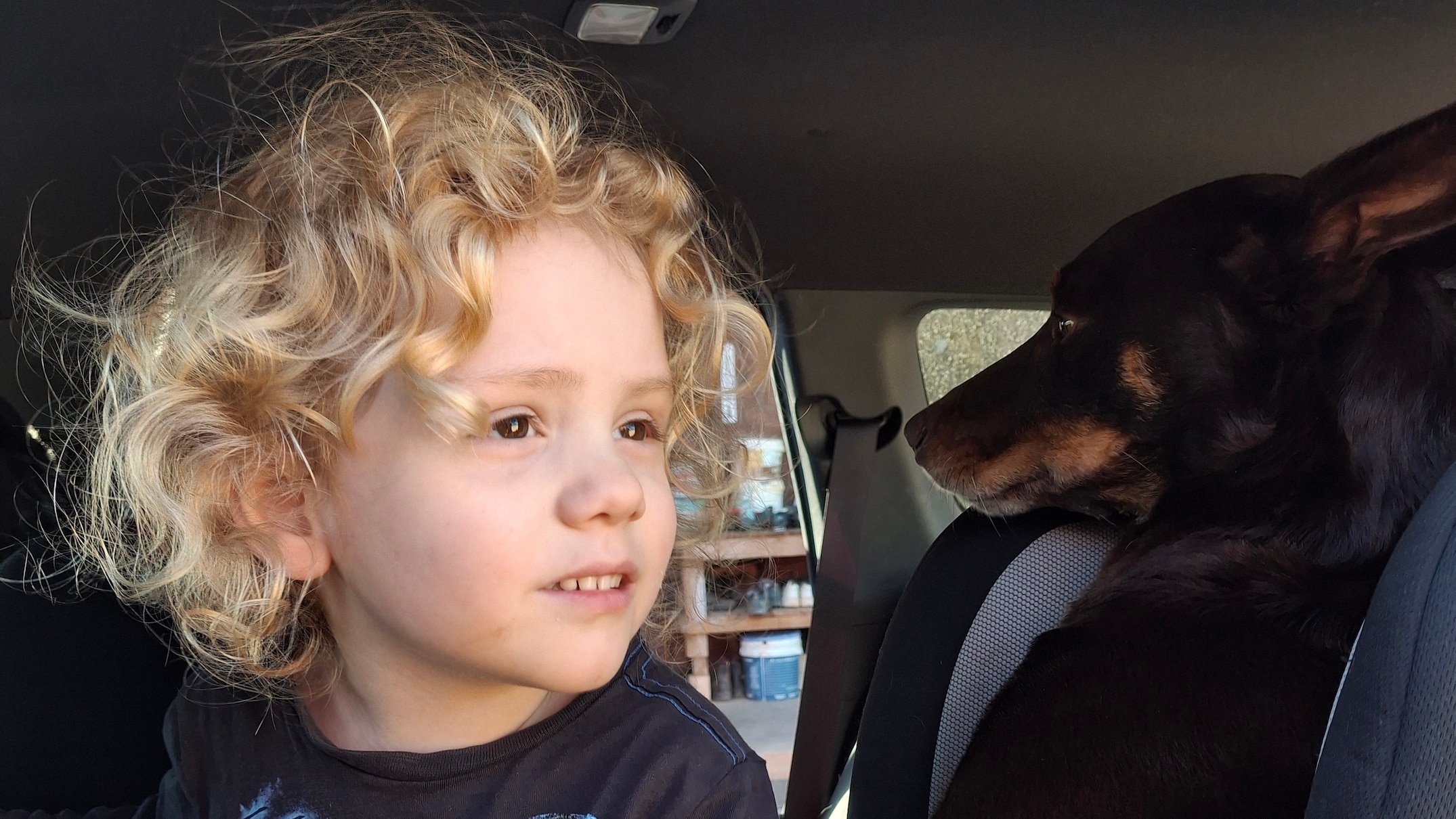 Gus Lamont's parents release public statement saying their lives have ...