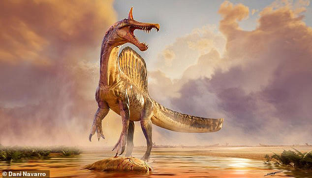 Mysterious 'dragon' species that lived 95 million years ago discovered ...