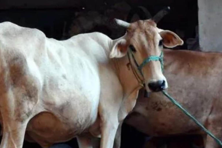 After Suvendu govt's curbs, Muslim clerics in Bengal urge community not ...
