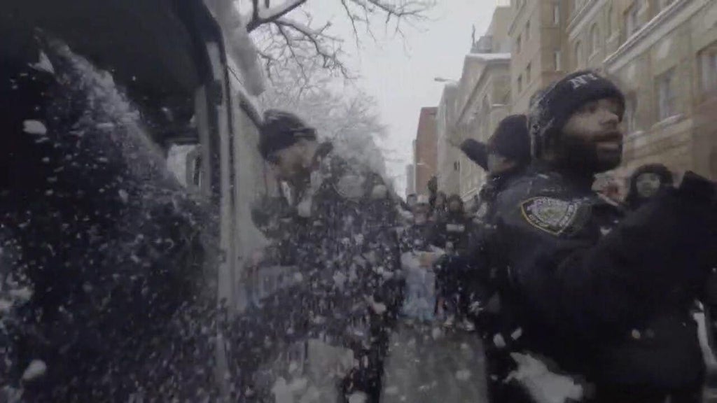 Second person arrested in snowball fight incident with NYPD at ...