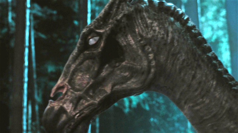 The thestrals in Harry Potter explained