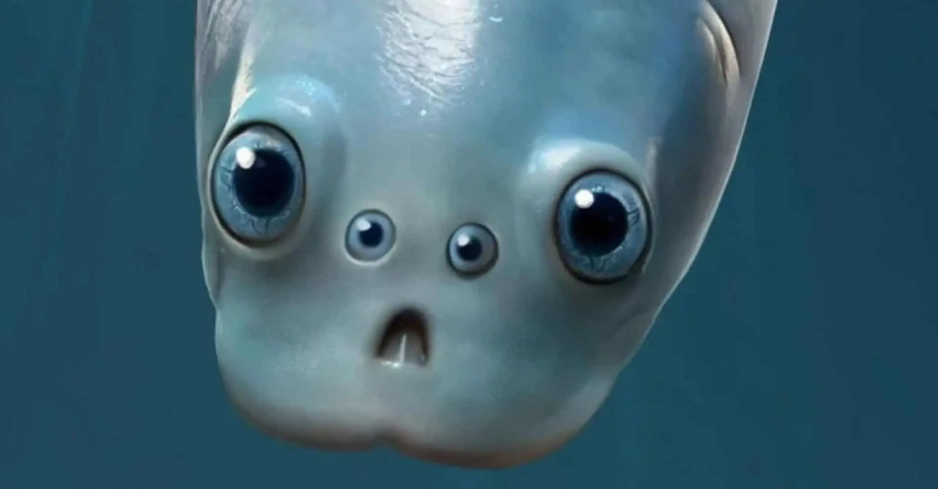 Humanos já tiveram quatro olhos? Fósseis sugerem passado surpreendente