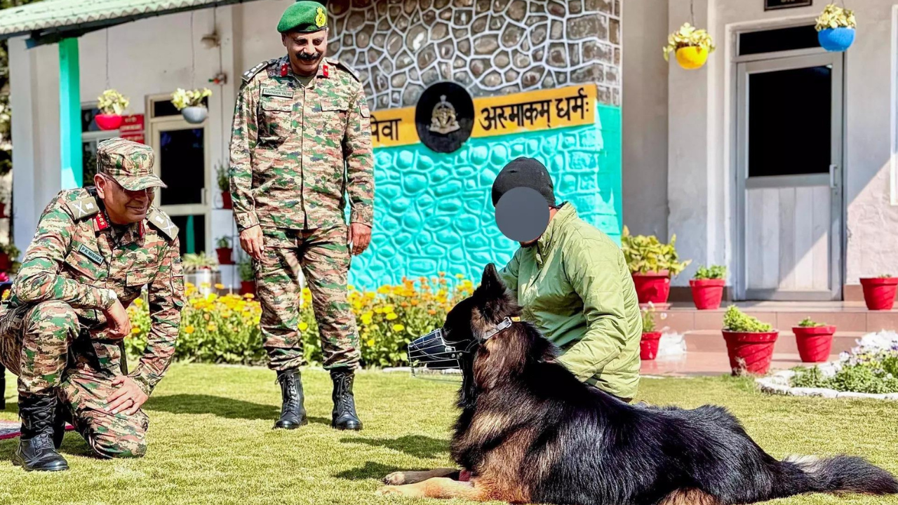 'Wounded yet in high spirits': Army shares update on braveheart dog ...