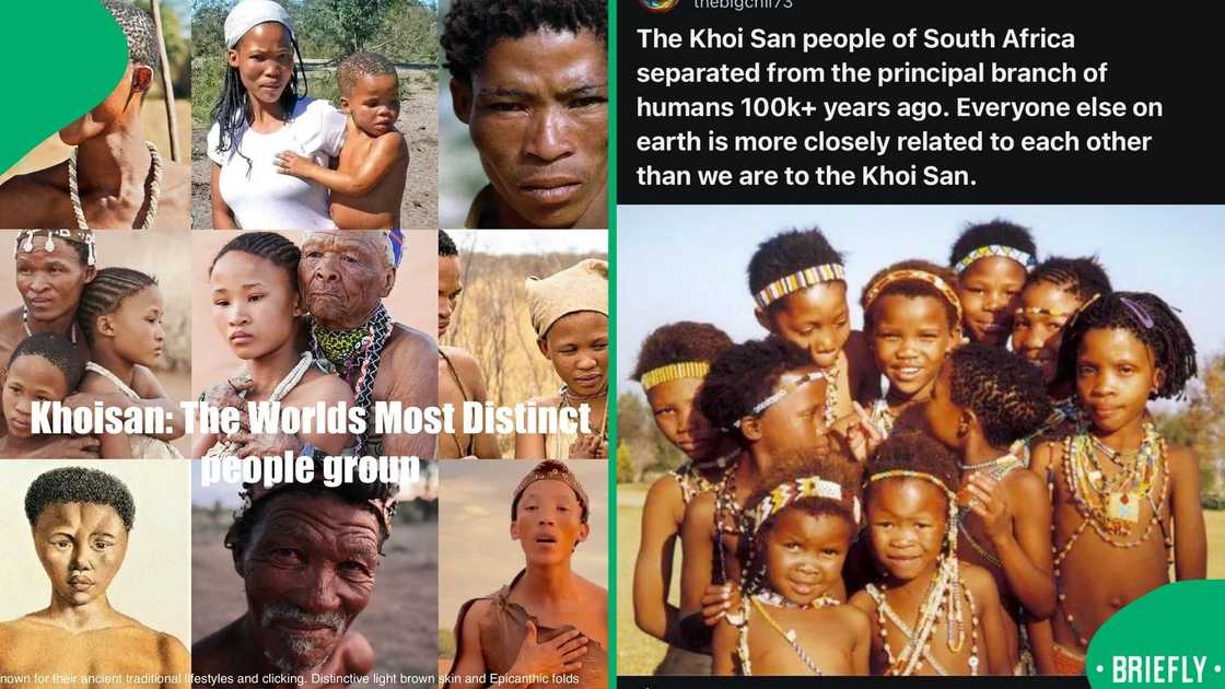 Genetic studies showed South Africa’s Khoisan people split from other ...