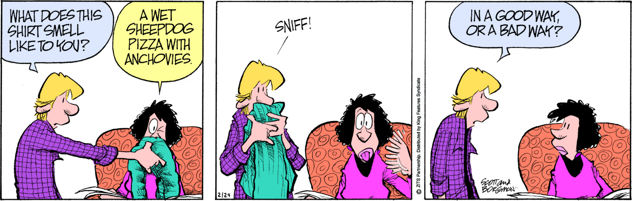 Zits by Jerry Scott and Jim Borgman