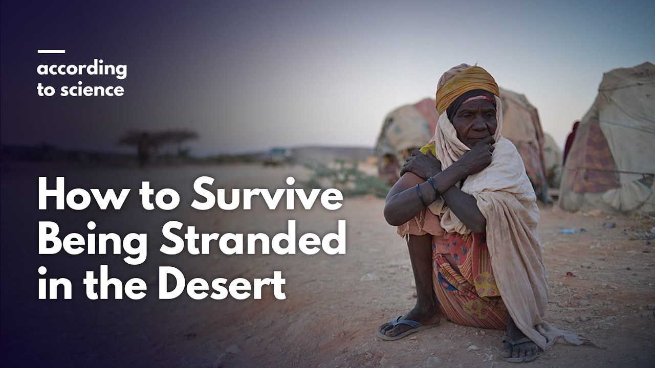 Discover the primary survival strategies for the brutal desert heat
