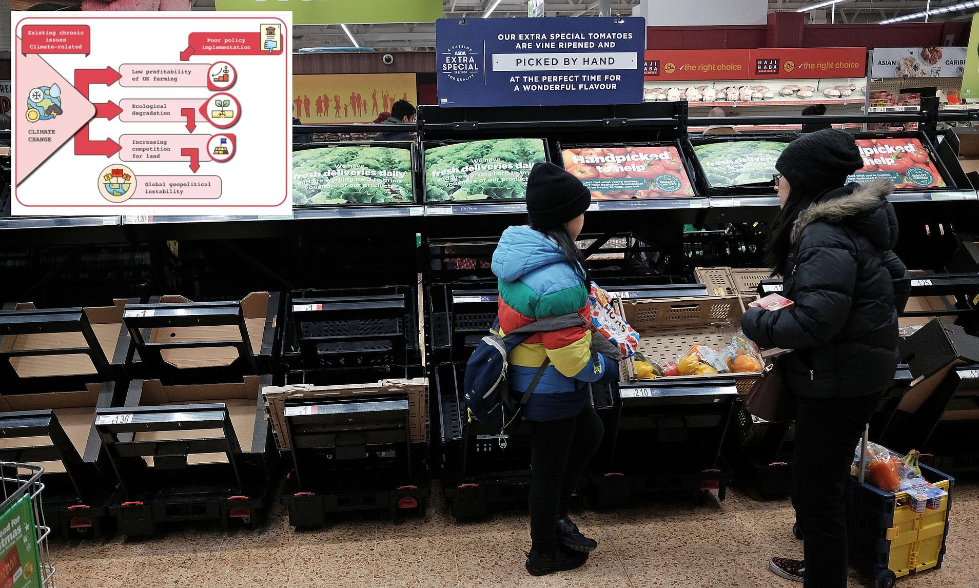 'Tinderbox' Britain is 'one shock away from food riots', experts warn