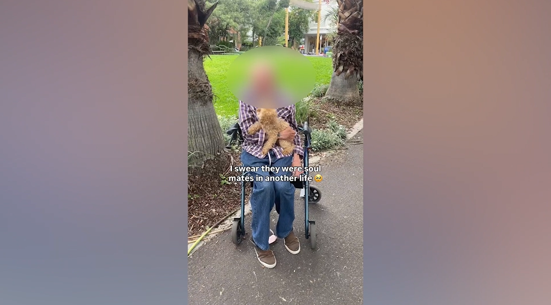 Hearts melt at tiny poodle’s unexpected bond with best friend