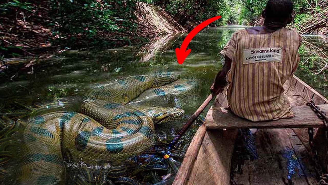 How to survive on Snake Island