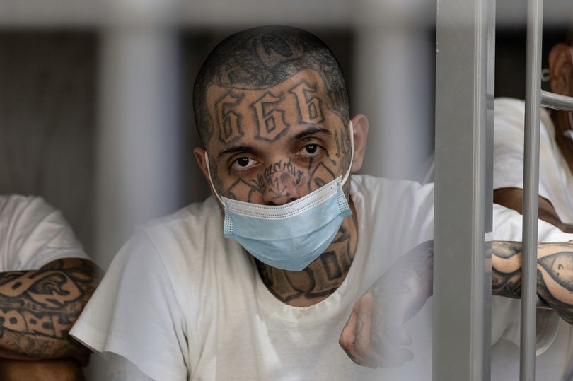 From Mexican cartel to British mob – the 19 most powerful gangs in ...
