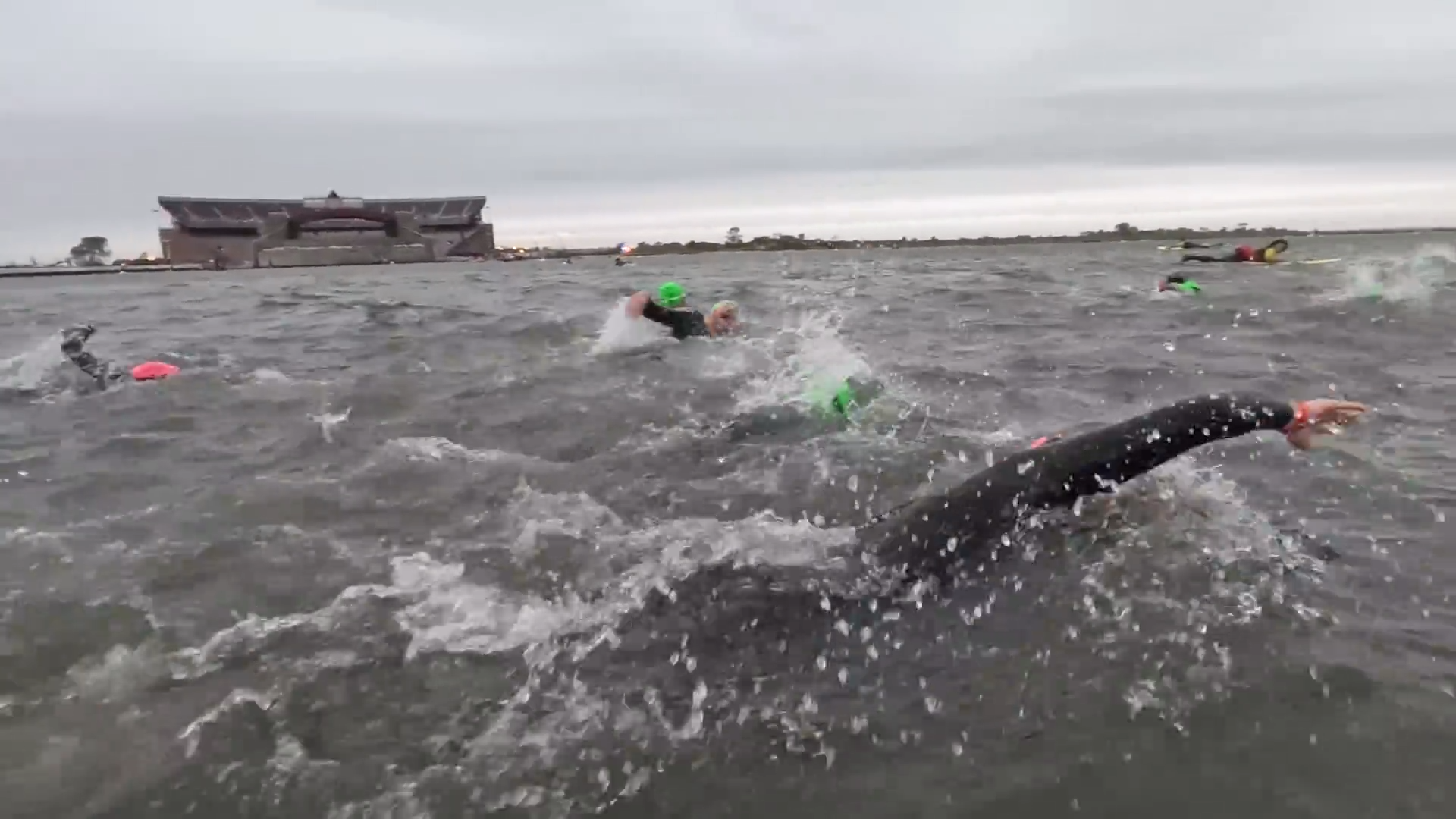 Yes, the ocean is trying to kill you... and it’s not just sharks