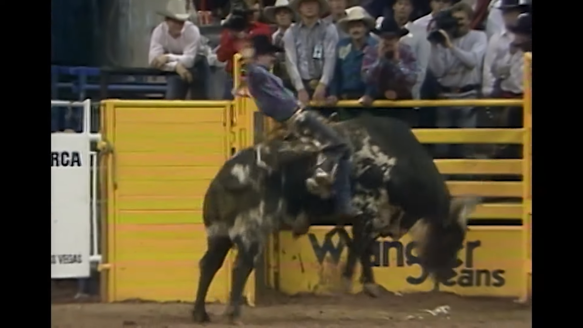 The bull exploded out of the gate - he exploded the scoreboard
