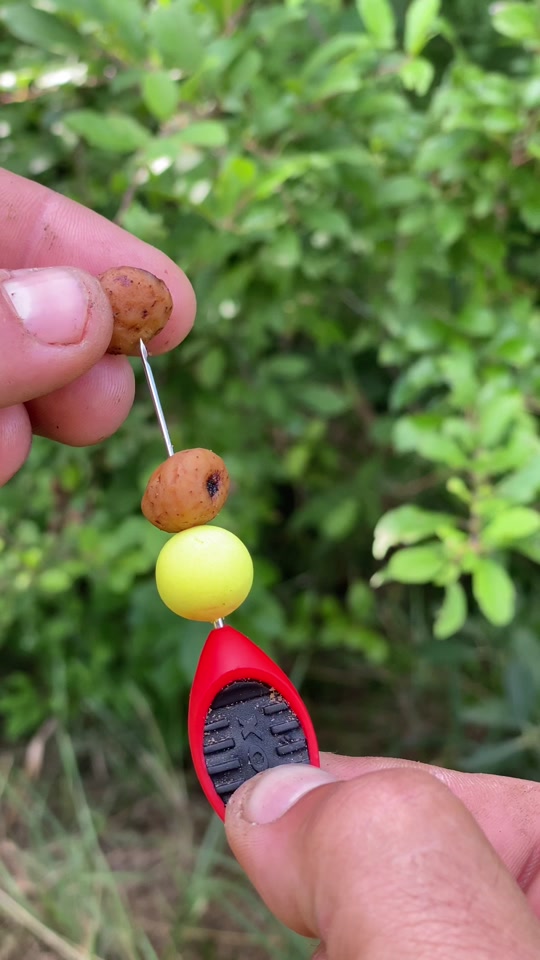 Carp rig montage that actually catches fish