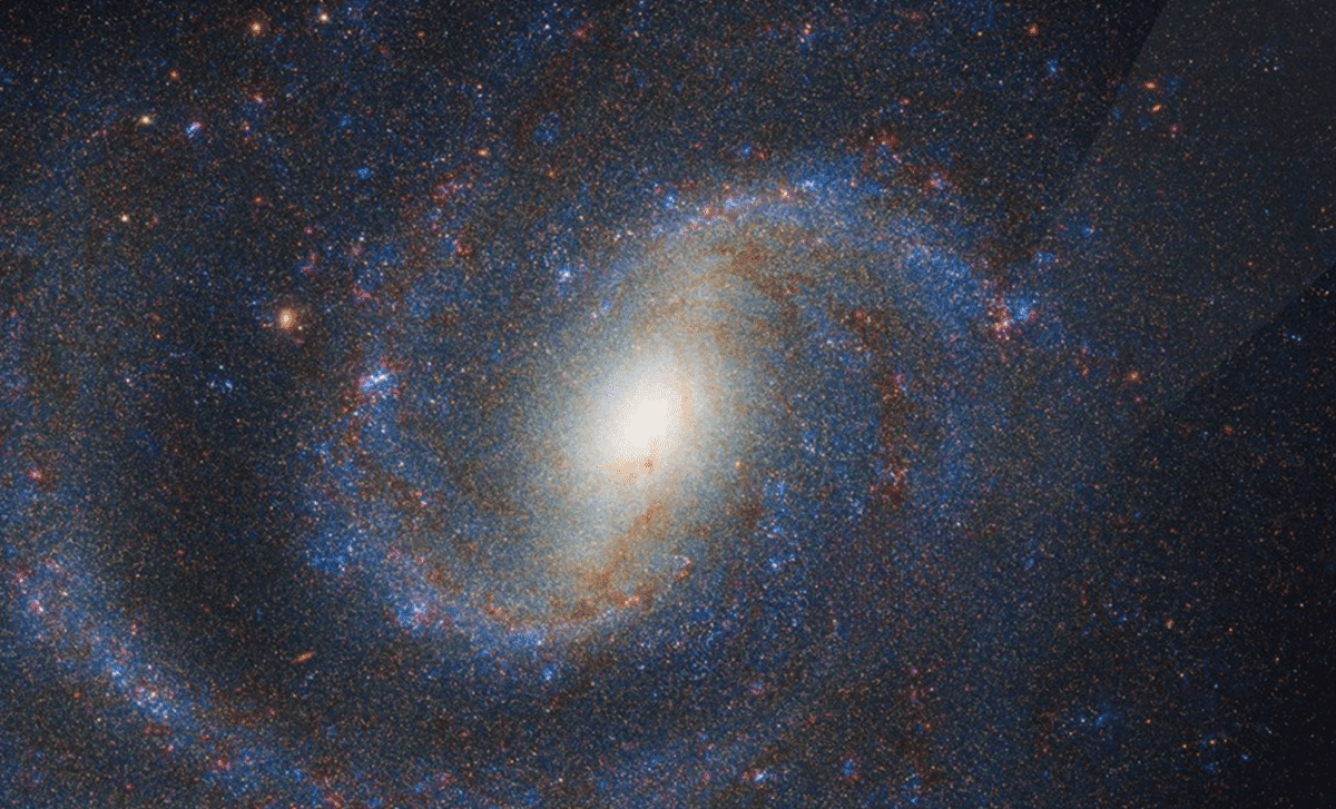 NASA’s Webb telescope locates star that exploded in nearby galaxy 40 ...