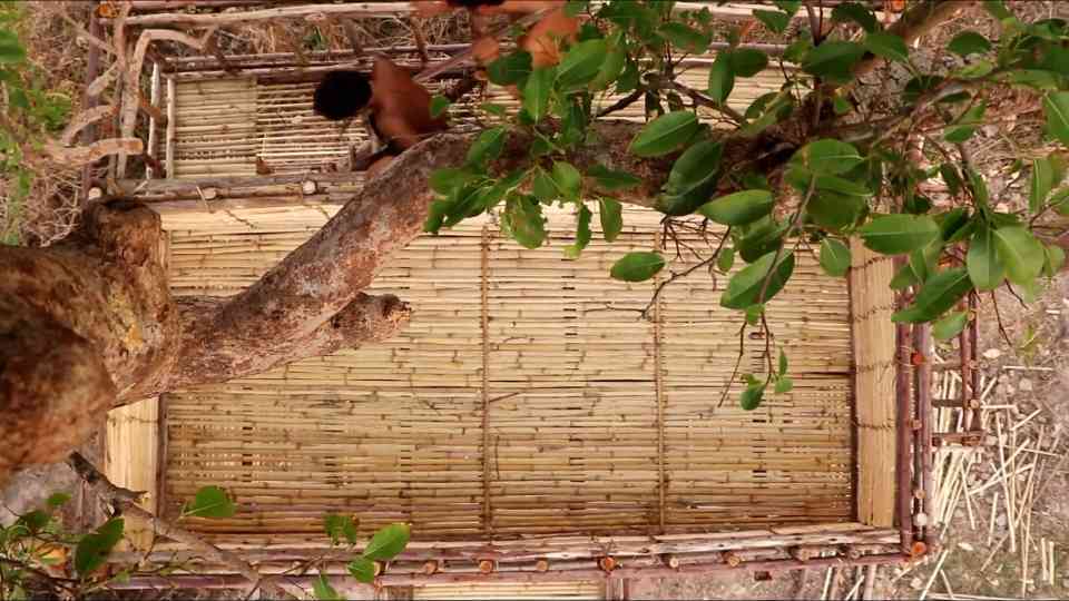 They raised the villa floor by floor, then cracks appeared under the pool