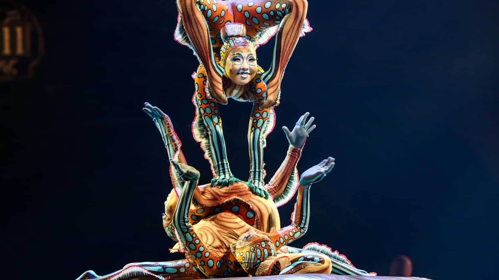 21 fascinating circuses beyond the ordinary