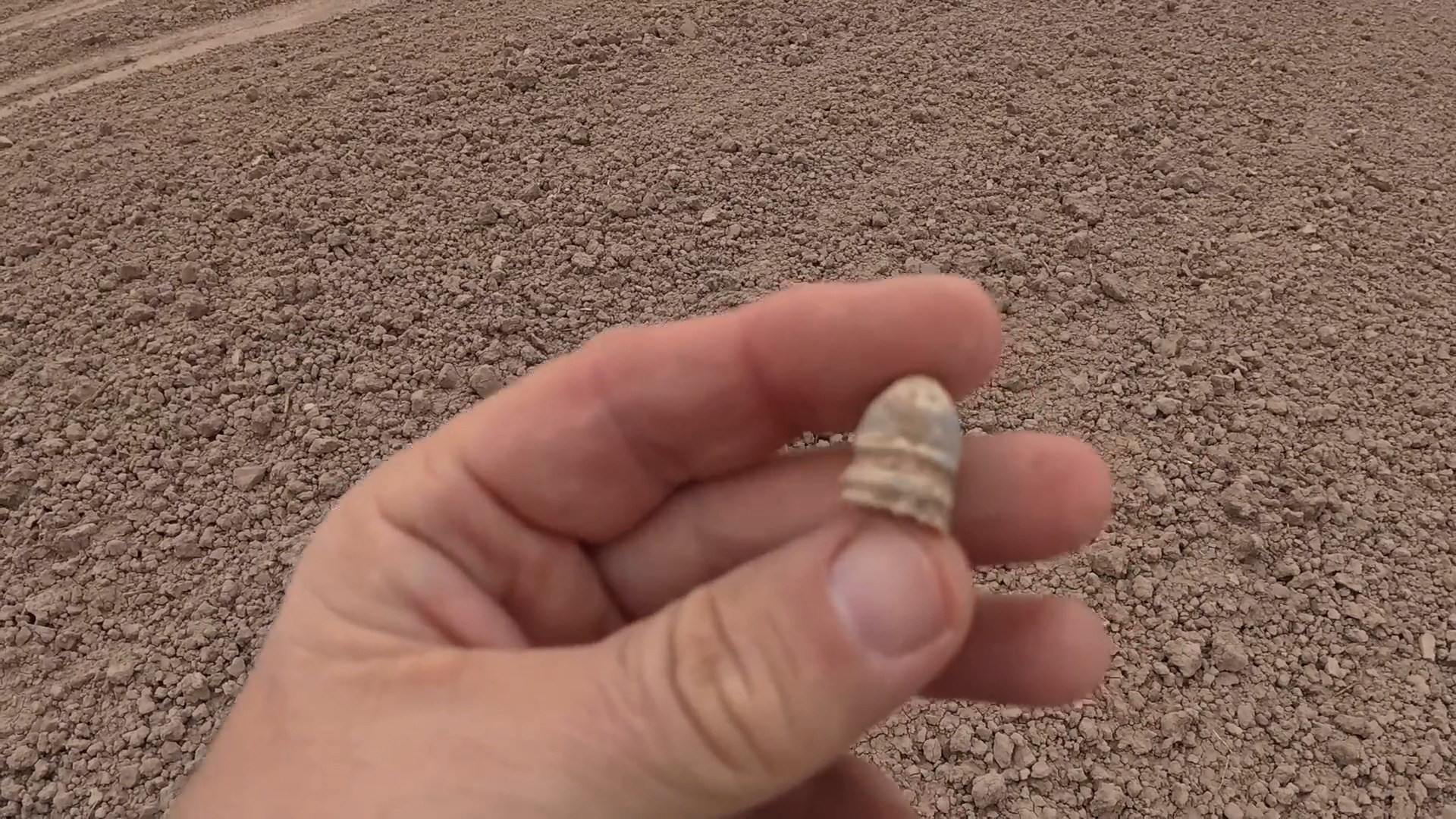This desert fort was found 150 years later... Buffalo Soldier relics ...