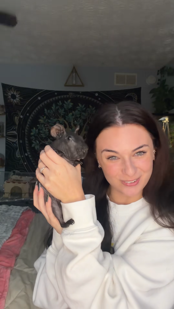 Pet care truths why there is no such thing as beginner pets