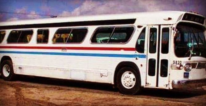 How a Manhattan renter turned a greyhound into home