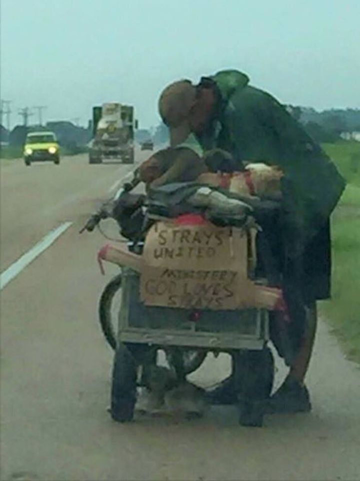 Woman confronted a homeless man with a cart full of stray dogs—but she ...