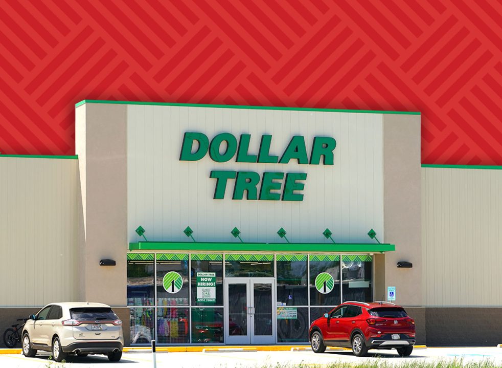 11 best new Dollar Tree home finds and DIYs flying off shelves this week