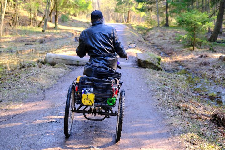 Woman confronted a homeless man with a cart full of stray dogs—but she ...