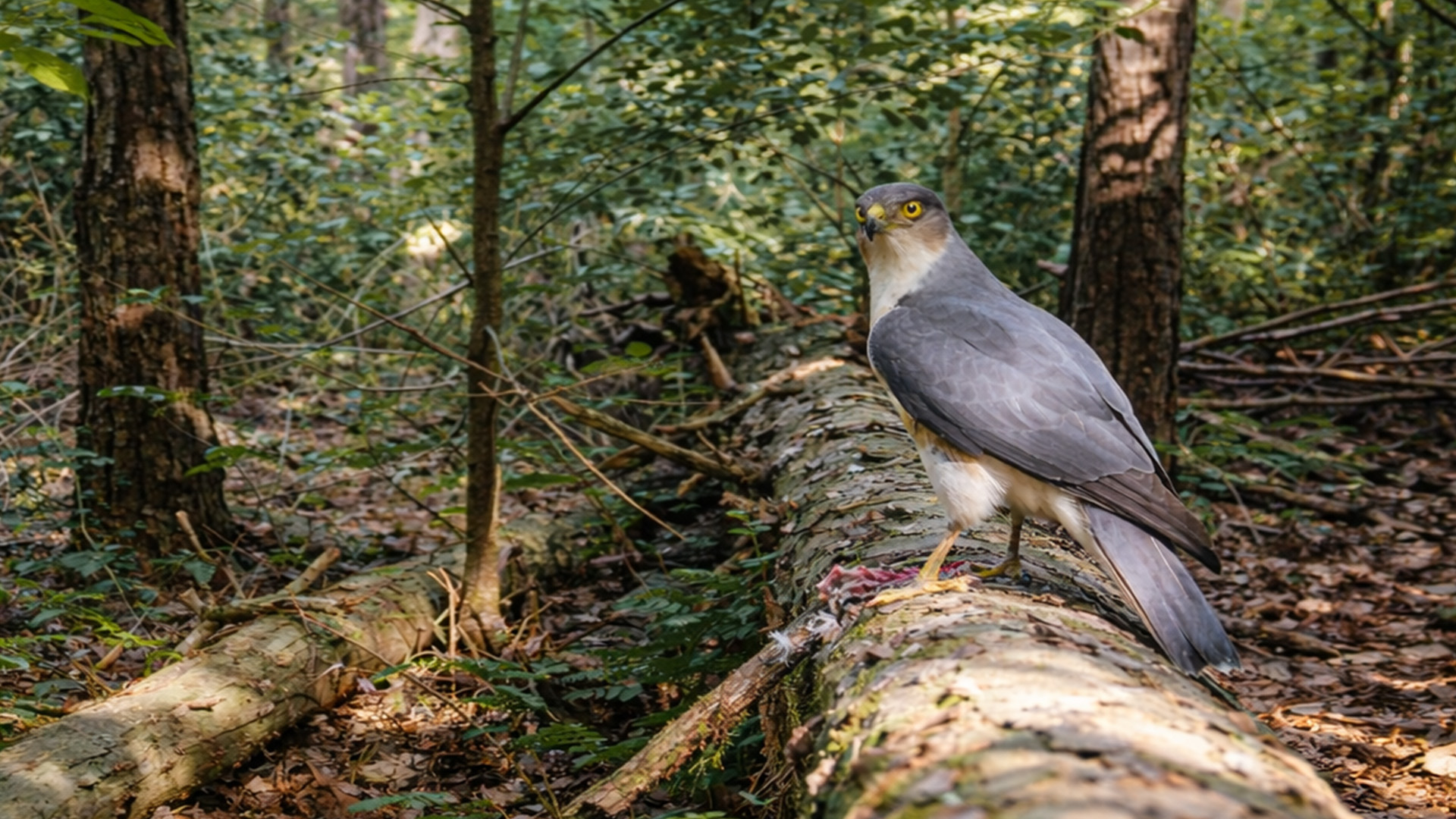 We caught more than wildlife on our camera trap