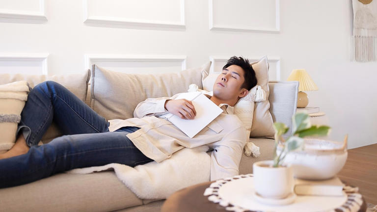 Study reveals how a short daytime nap improves learning ability