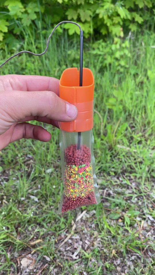 Viral carp fishing montage with effective rig setups