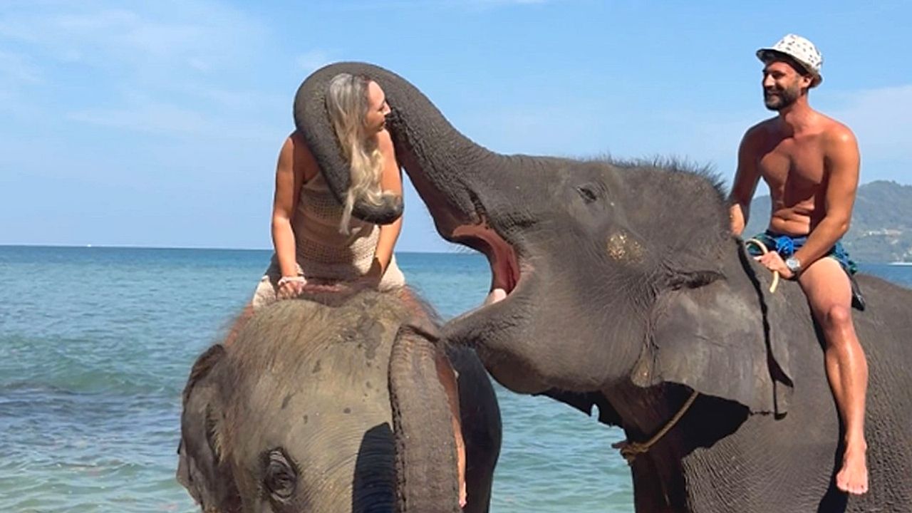 Elefante dá um grande beijo em turista na Tailândia
