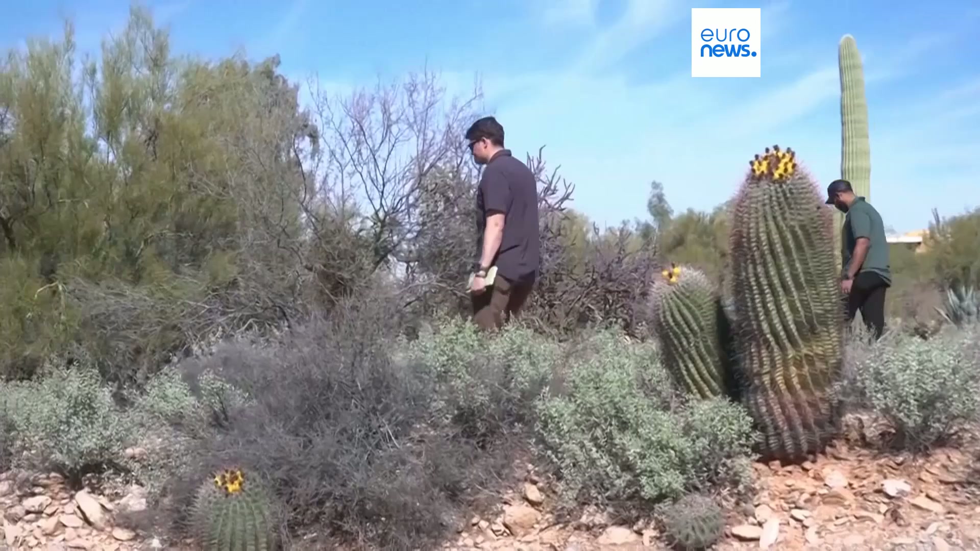 United States: Guthrie's family is offering a $1 million reward for her ...