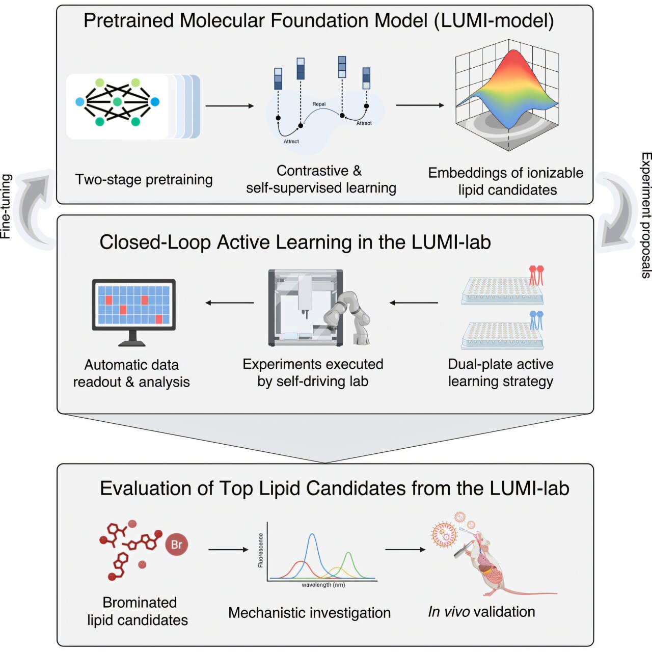 AI-powered platform accelerates discovery of new mRNA delivery materials