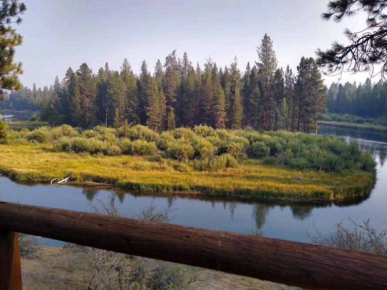 Oregon's most underrated state forest you need to visit