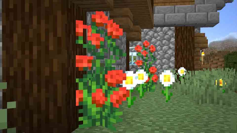 Evolving dragon into GOD dragon in Minecraft