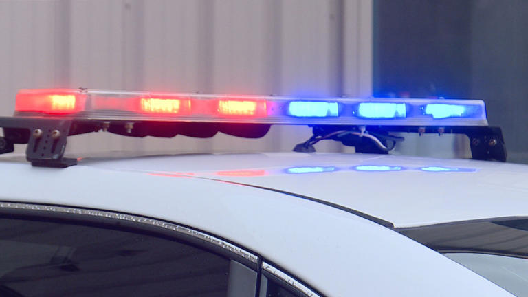 New Carlisle man dies after crashing into two trees