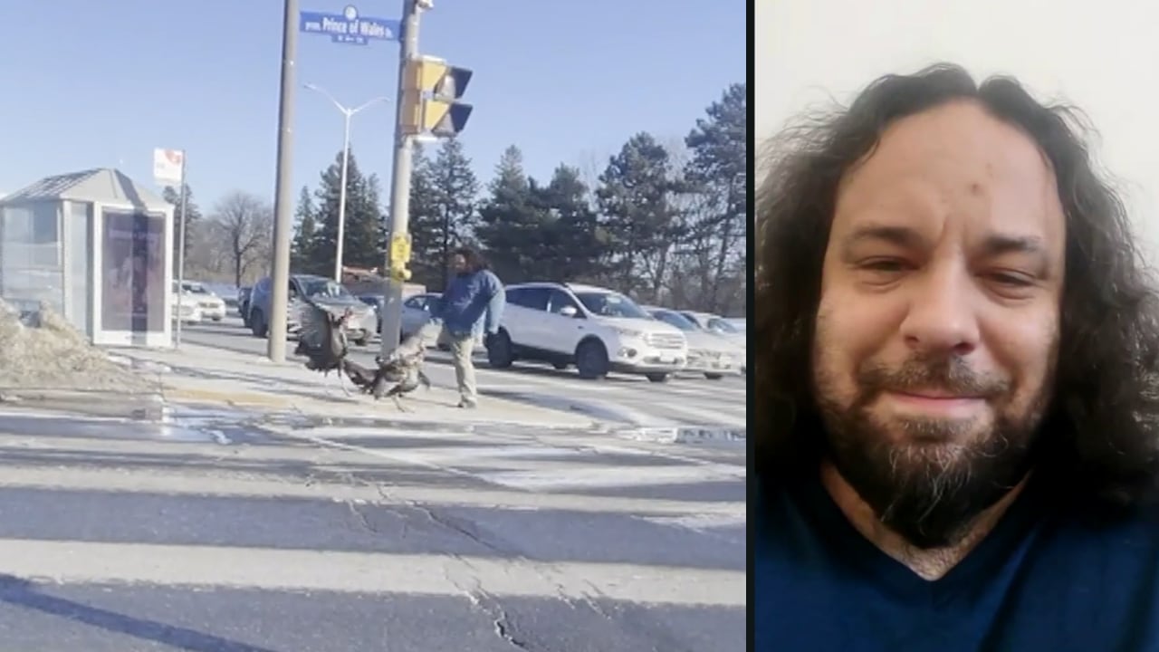 Meet the man who got chased by turkeys in Ottawa