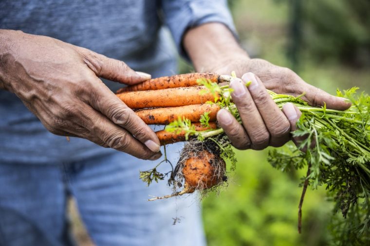 The foods to always buy organic – and those that aren’t worth it