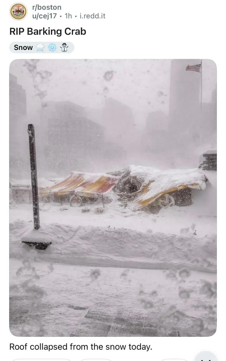 Photo showing collapsed roof at Barking Crab amid blizzard was AI