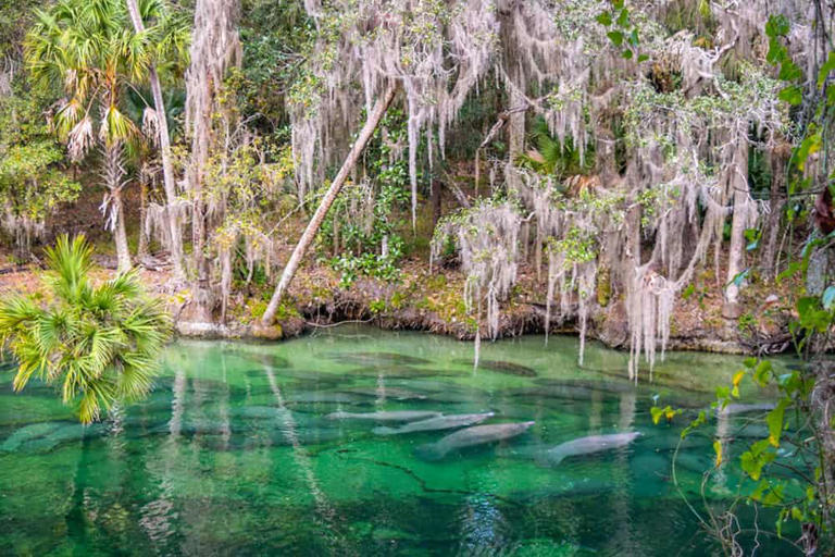Where to find Florida’s most scenic hikes (that no one talks about)