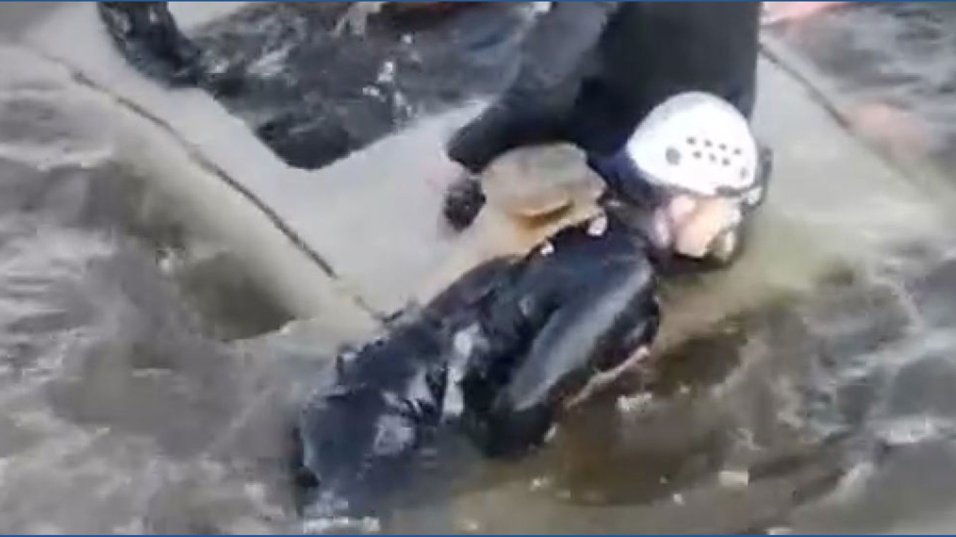 Firefighters rescue man trapped inside sinking car in freezing lake