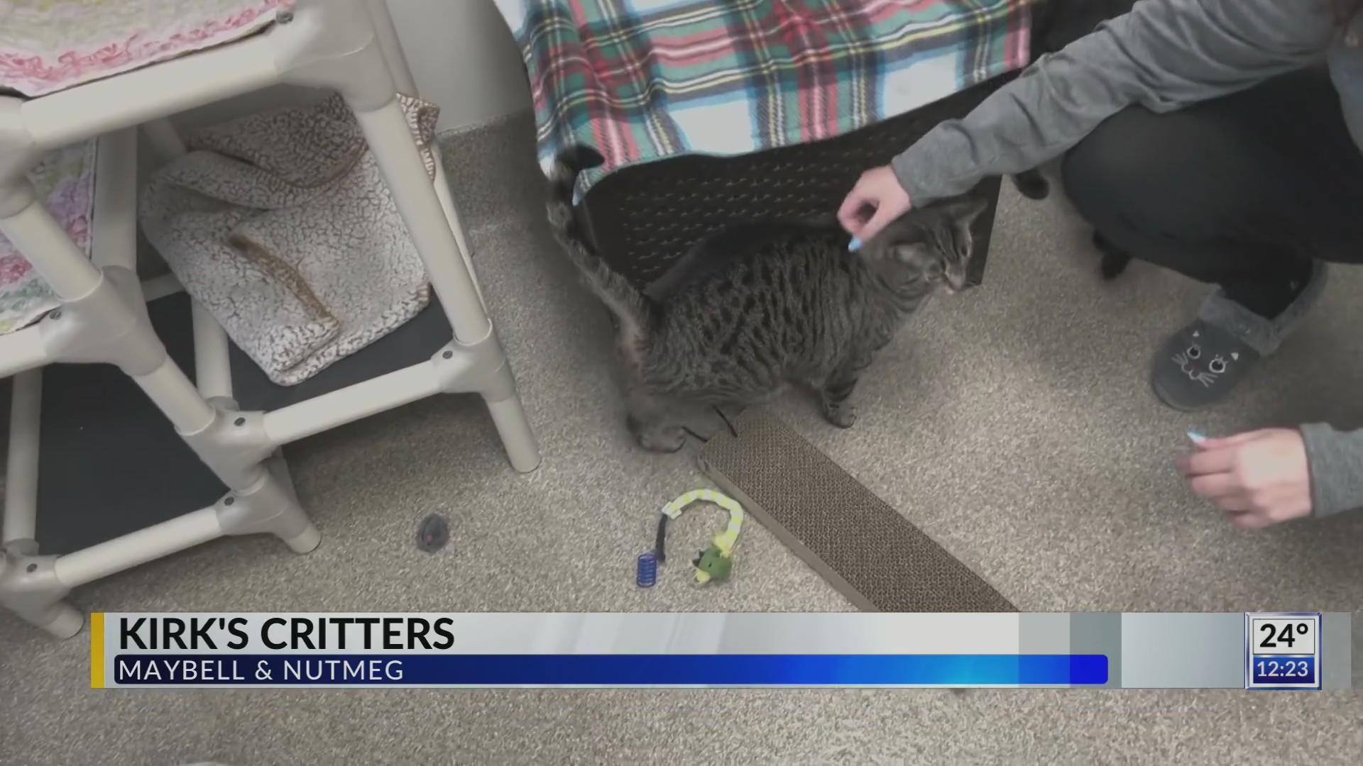 Kirk's critters: Maybell & Nutmeg